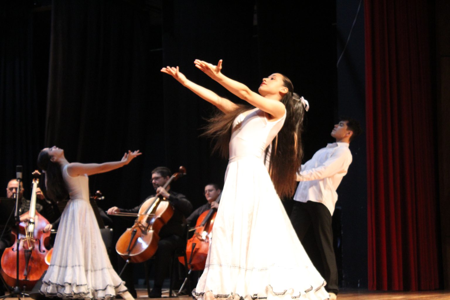 La Guarania, sonido del Alma Paraguaya: declarada Patrimonio Cultural ...